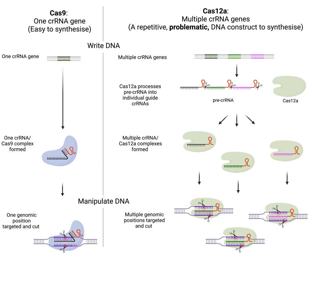 Rewriting DNA synthesis technology | Camena Bioscience